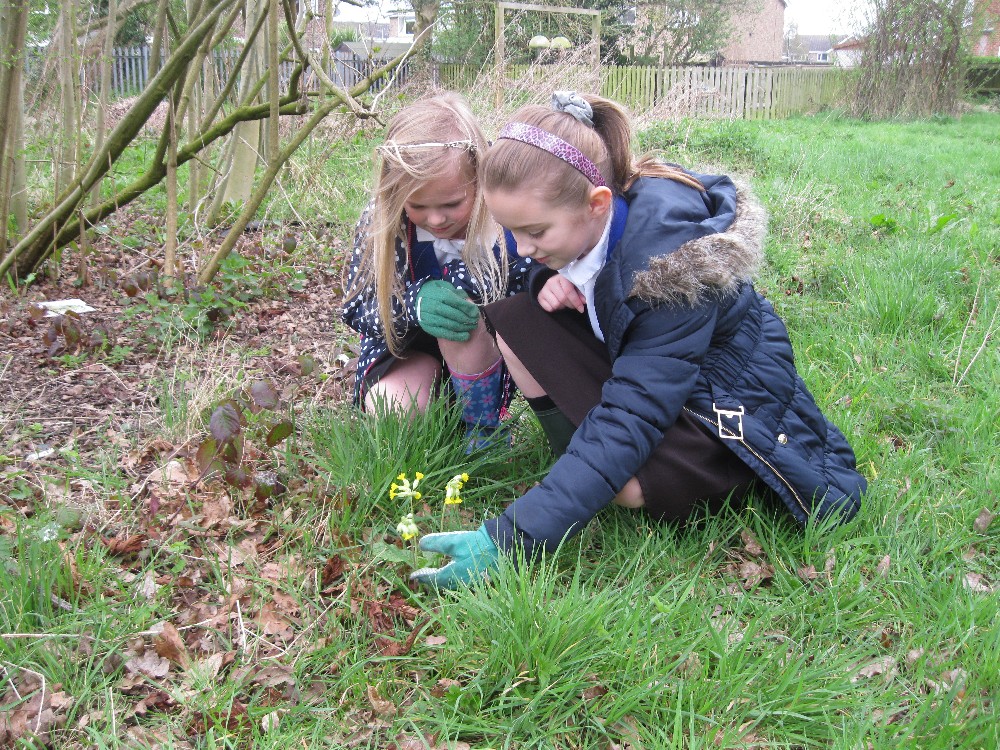 Outdoor Learning at Stanford Junior and Infant School